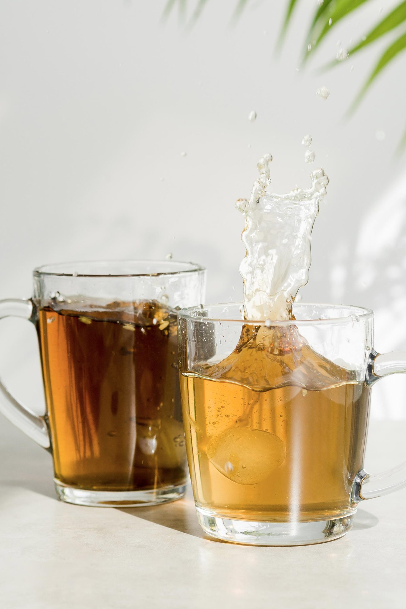 Tribe Tea Lounge – Exotic Tea Lounge