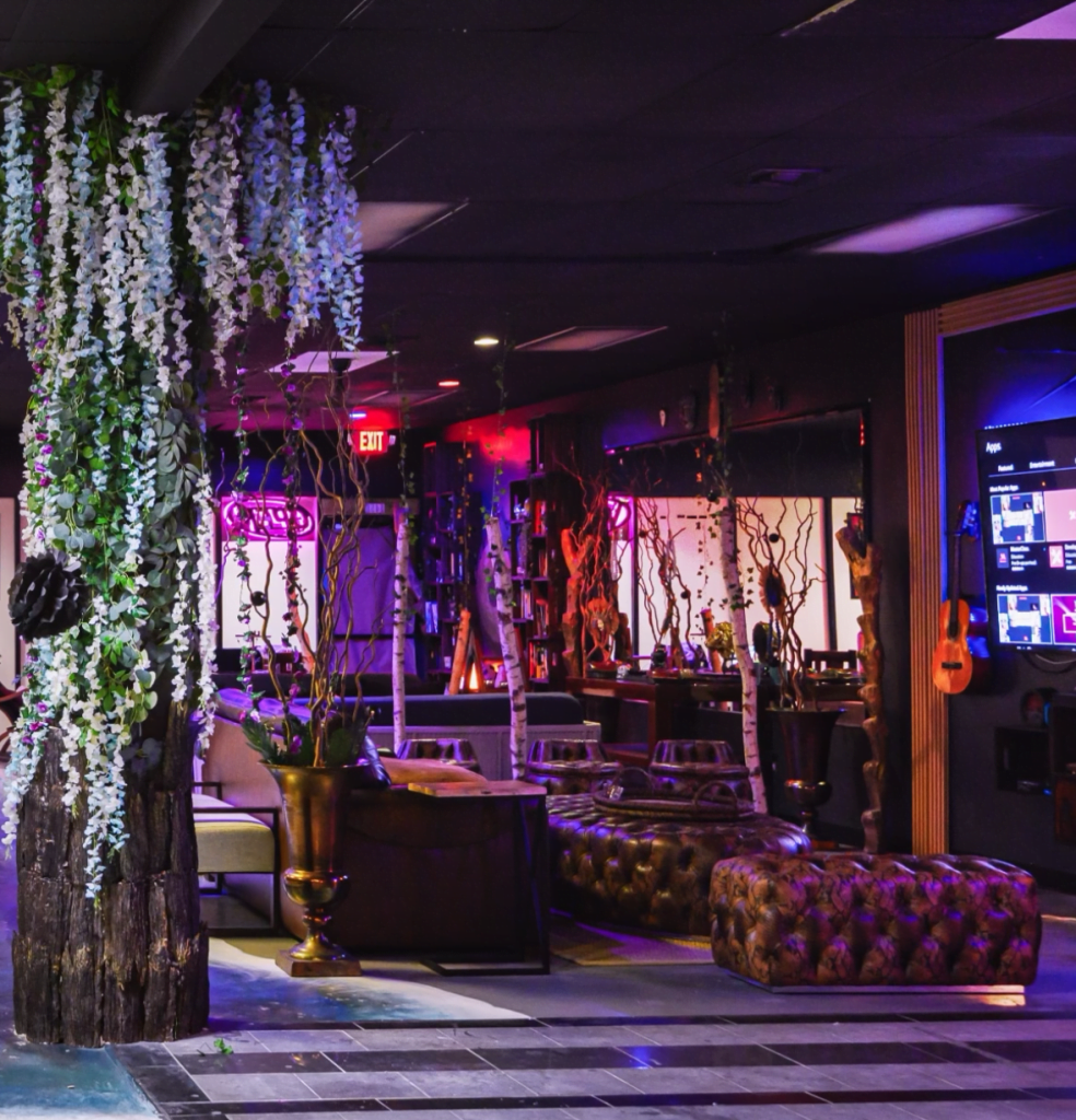 Venue – Tribe Tea Lounge